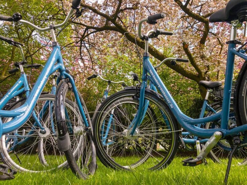 Radtour um die Alster & durch traumhafte Alsterviertel - Authentic Traveler Insights