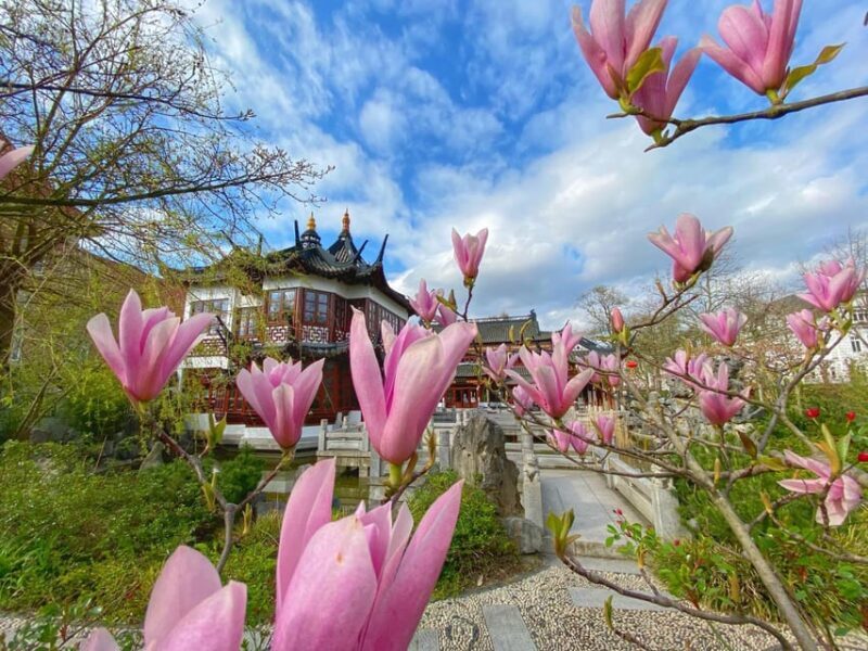 Radtour um die Alster & durch traumhafte Alsterviertel - FAQs