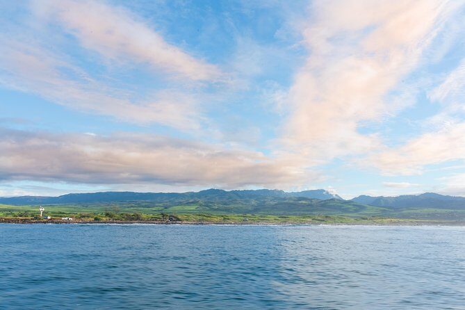 RAFT ADVENTURE - Whale Watch Discovery - The Bottom Line: Who Should Take This Tour?