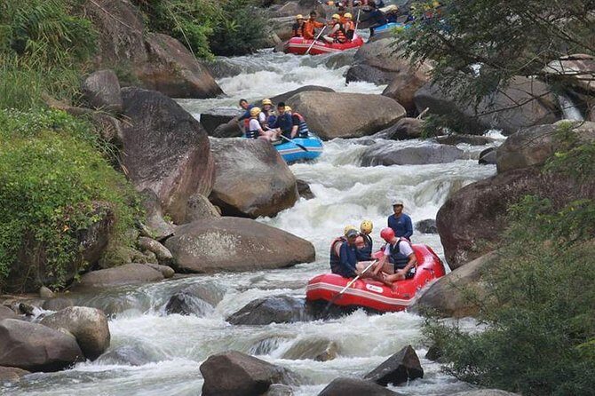 Rafting 5 km, ATV 30 Mins, Fly Fox and Jungle Tour From Phuket - The Tour Experience: What’s Included and What to Expect