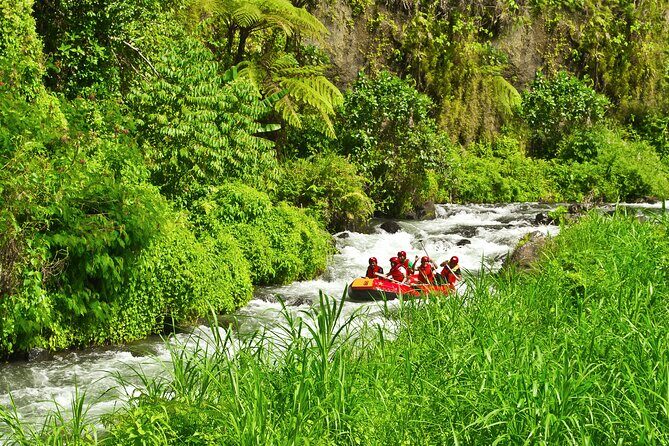 Rafting Adventure 18 km and Balinese Village Life Tour with Lunch - Authenticity and Experience Quality
