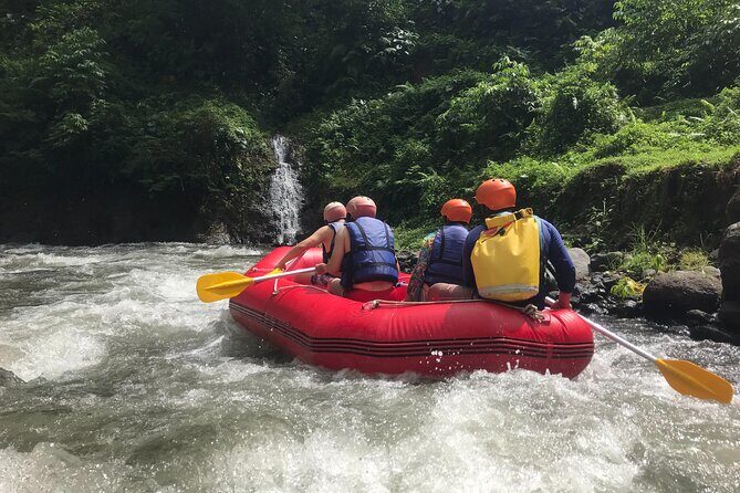 Rafting Adventure 18 km and Balinese Village Life Tour with Lunch - Who Will Love This Tour?