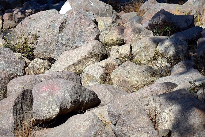 Rafting Adventure On River Betwa From Orchha - An In-Depth Look at the Orchha River Betwa Rafting