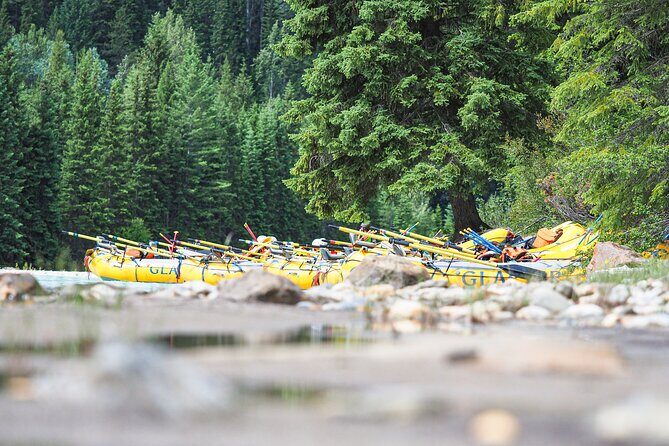 Rafting Adventure on the Kicking Horse River - The Sum Up