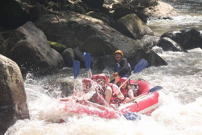Rafting Adventure Tour Bali - Exploring Bali’s Rainforest via Ubud’s Ayung River