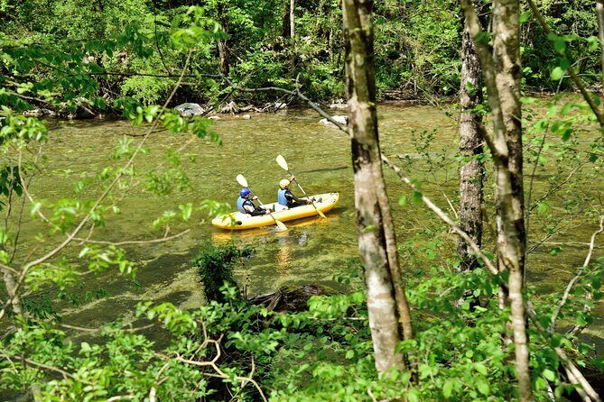 Rafting and Kayaking Adventure in River Kupa - Price and Value