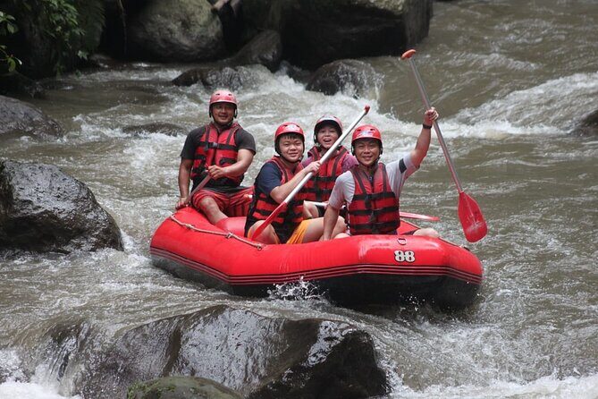 Rafting at Ayung River(Include Return Hotel Transportation) - Introduction