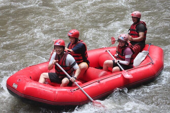 Rafting at Ayung River(Include Return Hotel Transportation) - An In-Depth Look at the Rafting Experience