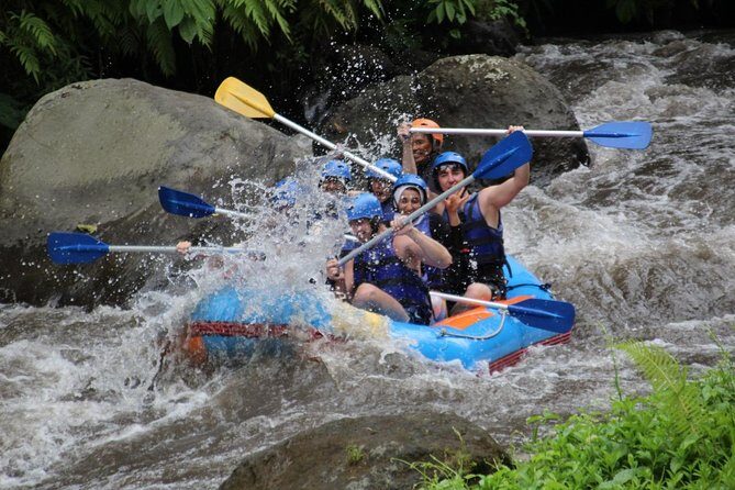 Rafting & Kintamani Volcano Tour - Introduction