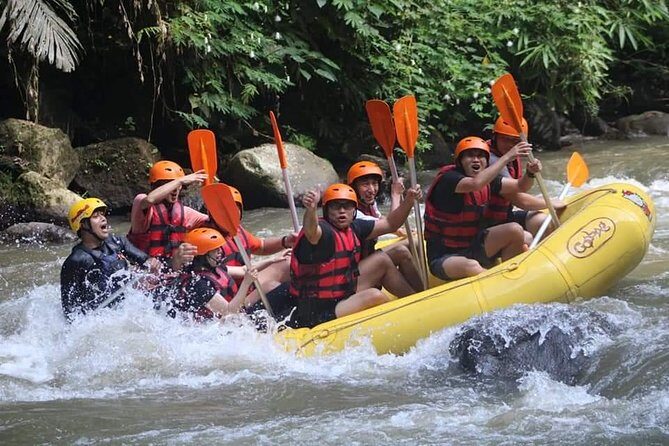 Rafting Swing Monkey Forest And Waterfall Tour All Inclusive - Overview of What the Tour Offers