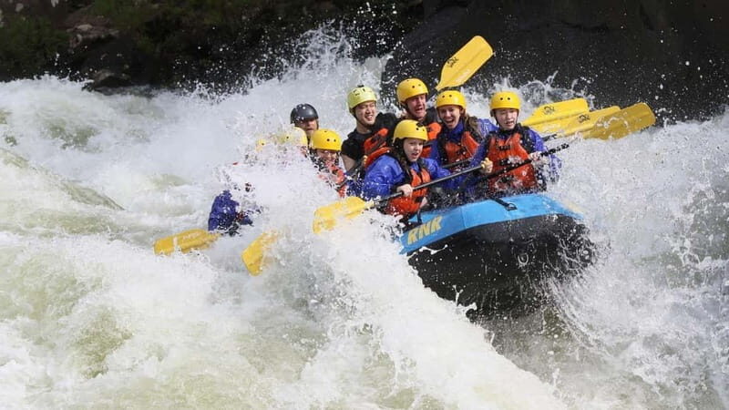 Rafting Tour, Transfer & Combo Options with Veg Lunch Option - An Introduction to the Experience