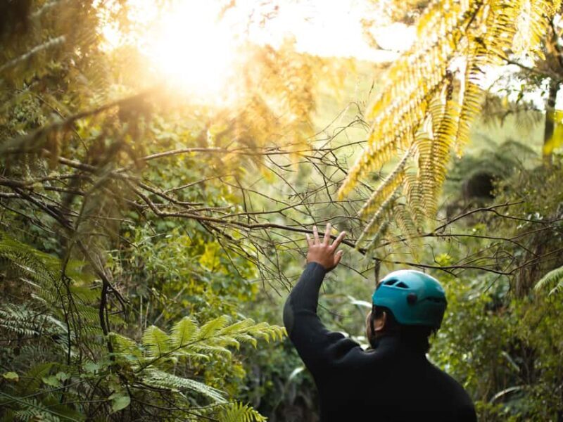 Raglan: Karioi Canyoning - The Itinerary: What You Can Expect