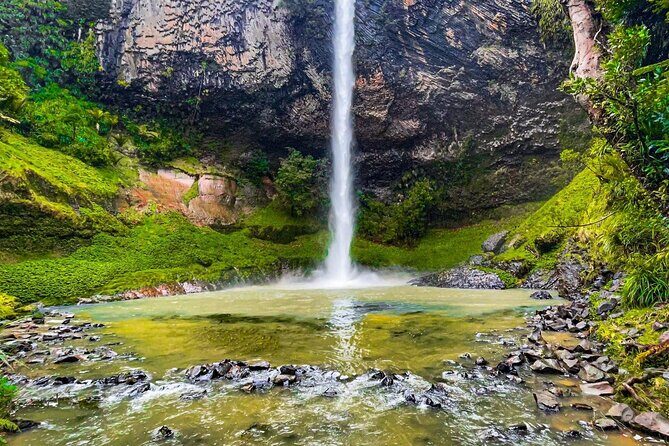 Raglan New Zealand Adventure Tour from Auckland - A Closer Look at the Itinerary