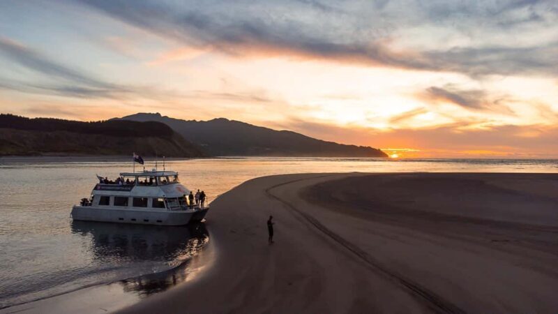 Raglan: Scenic Harbour Sunset Cruise - Key Points