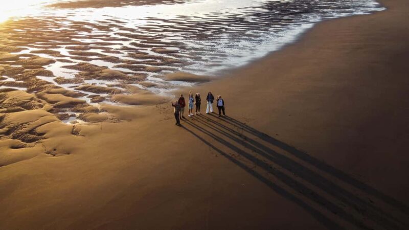 Raglan: Scenic Harbour Sunset Cruise - The Cost and Overall Value