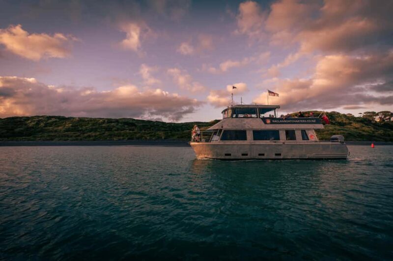Raglan: Scenic Harbour Sunset Cruise - Who Will Enjoy This Tour?