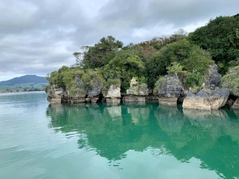 Raglan: Scenic Harbour Sunset Cruise - Practical Tips for Your Sunset Cruise