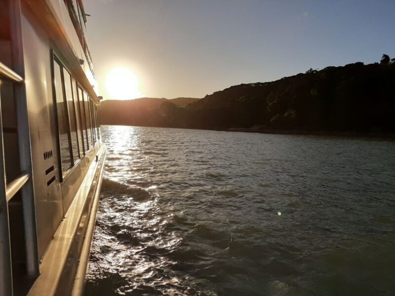 Raglan: Scenic Harbour Sunset Cruise - Final Thoughts