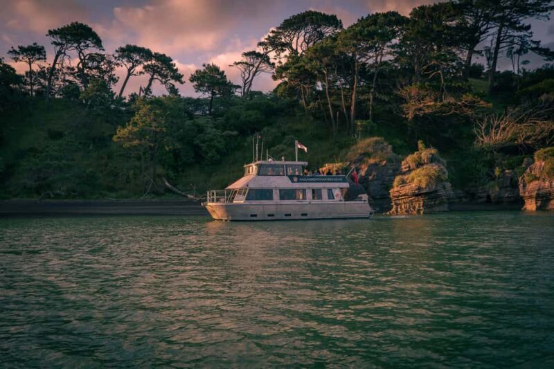 Raglan: Scenic Nature Boat Cruise - Discovering Raglan from the Water