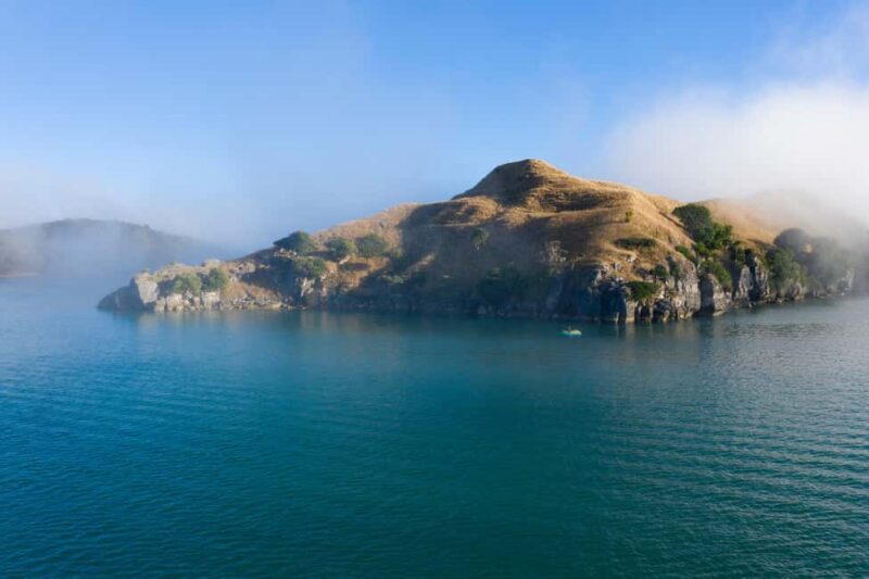 Raglan: Scenic Nature Boat Cruise - Practical Tips & Considerations