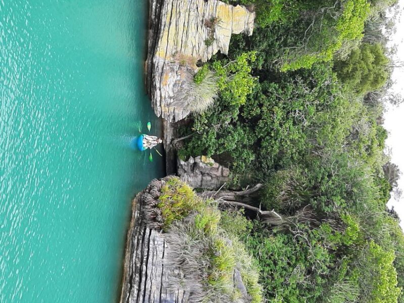 Raglan: Scenic Nature Boat Cruise - Authentic Experiences & Honest Feedback