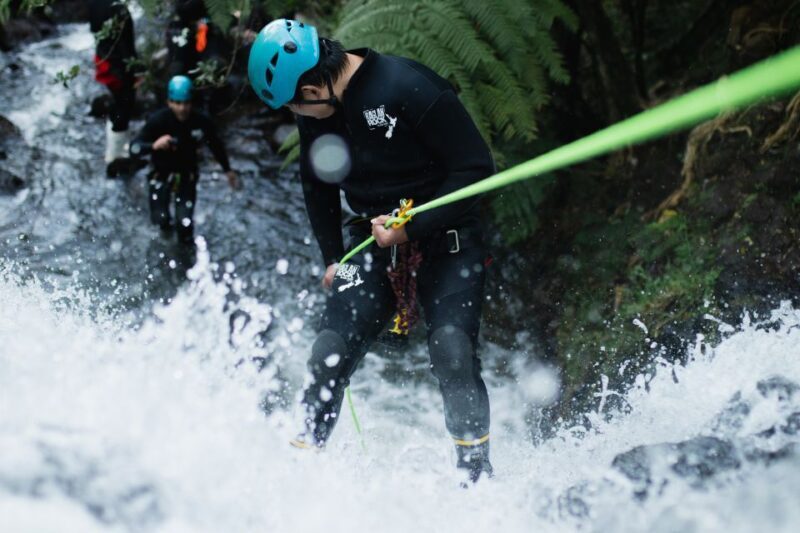 Raglan: Sunset Canyoning Tour and Glowworm Experience - What You’ll Love and What to Consider