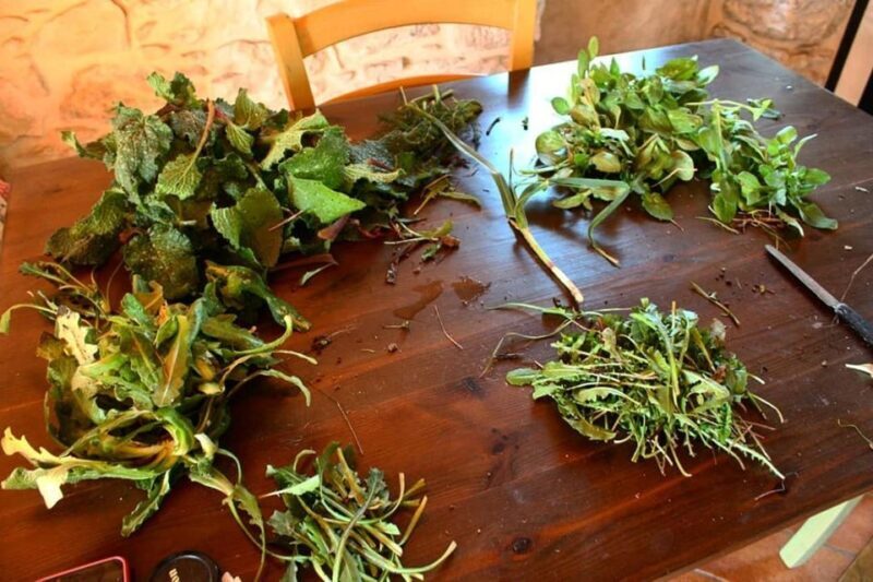 Ragusa Countryside Home Cooking Class & Meal - Key Points