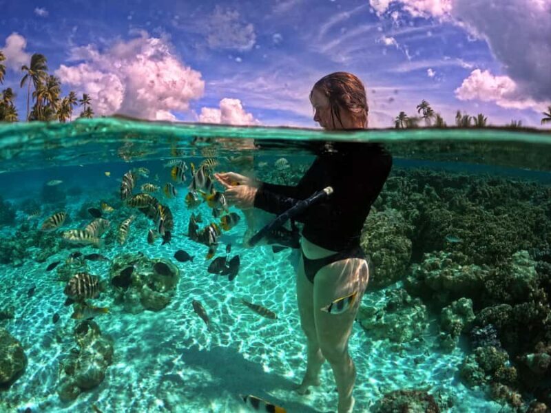 Raiatea: Boat tours and swimming around Tahaa Island. - An Intro to This Tahaa and Raiatea Adventure