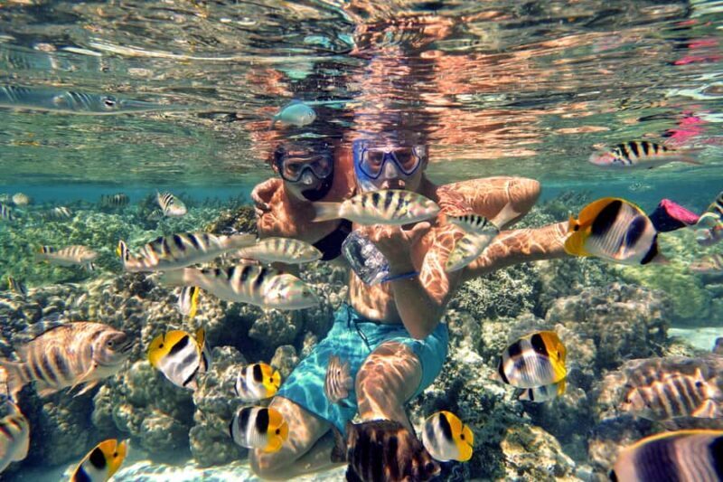 Raiatea: Boat tours and swimming around Tahaa Island. - What to Expect: From Lagoon to Land and Back