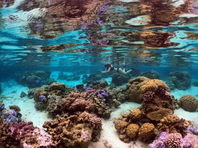 Raiatea: Boat tours and swimming around Tahaa Island. - FAQ