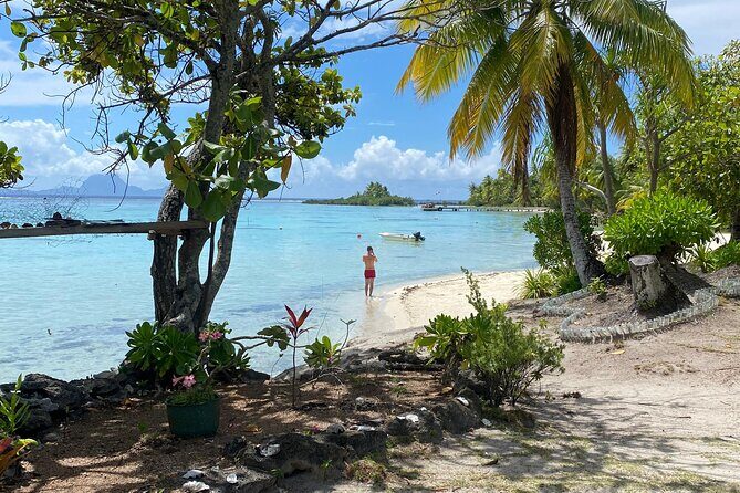 Raiatea Island or Taha'a Boat Tour - A Detailed Look at the Raiatea and Taha’a Boat Tour
