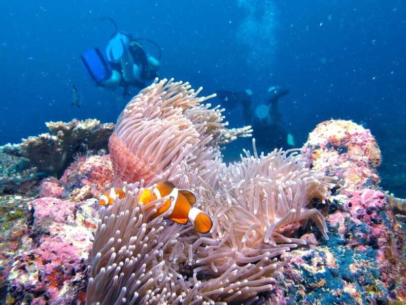 RAID Try-Dive in Kota Kinabalu, Sabah - Starting Out: Easy, Organized, and Welcoming