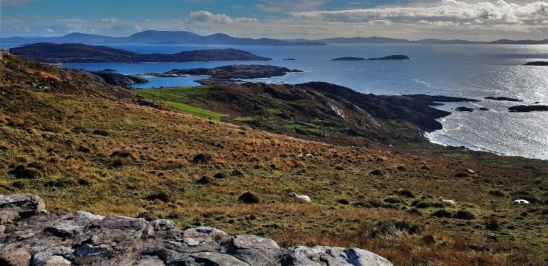 Rail Tour from Dublin: The Ring of Kerry - Managing Expectations: Length, Pace, and Flexibility