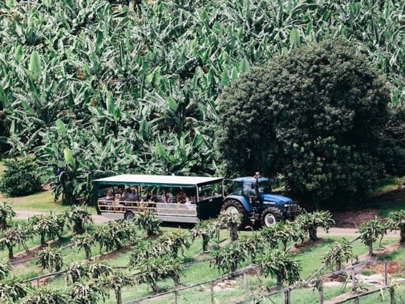 Rail Trail E-Bike Ride & Tropical Fruit World Visit - Frequently Asked Questions