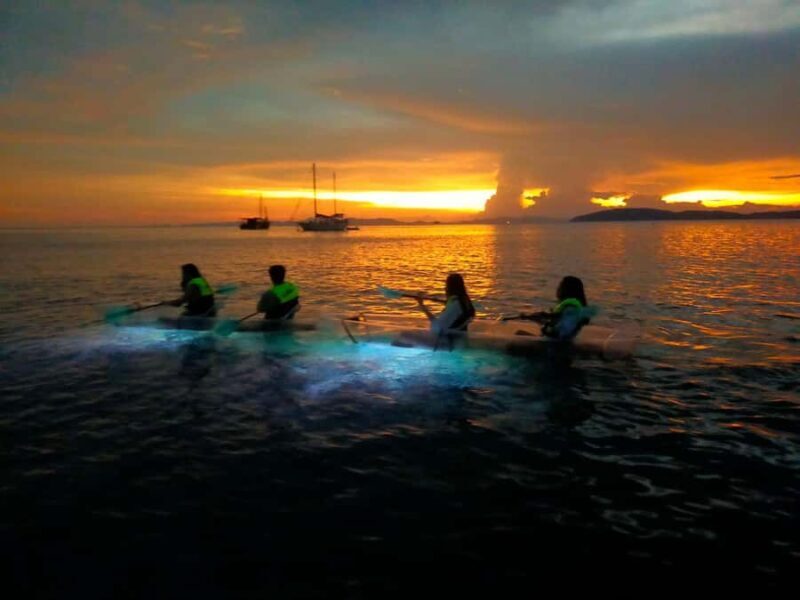 Railay: Illuminated Clear Kayak Night Tour Bioluminescence - Key Points