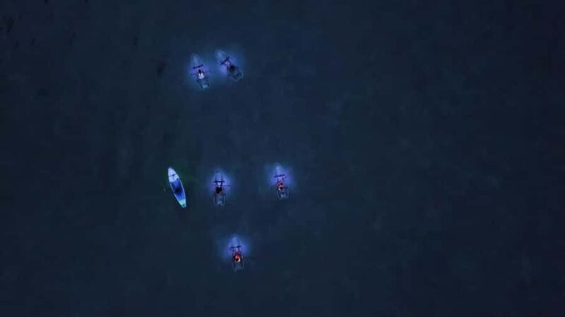 Railay: Illuminated Clear Kayak Night Tour Bioluminescence - What Makes This Tour Special?