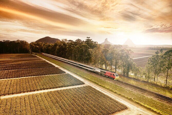 Railbed Brisbane to Cairns Train+Great Barrier Reef Day Tour - Journey Through Queensland: What to Expect on the Railbed Brisbane to Cairns Train