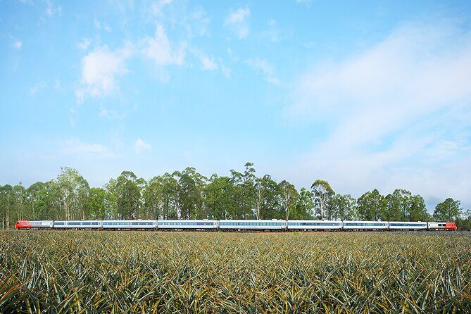Railbed Brisbane to Cairns Train+Great Barrier Reef Day Tour - Who Will Love This Tour?