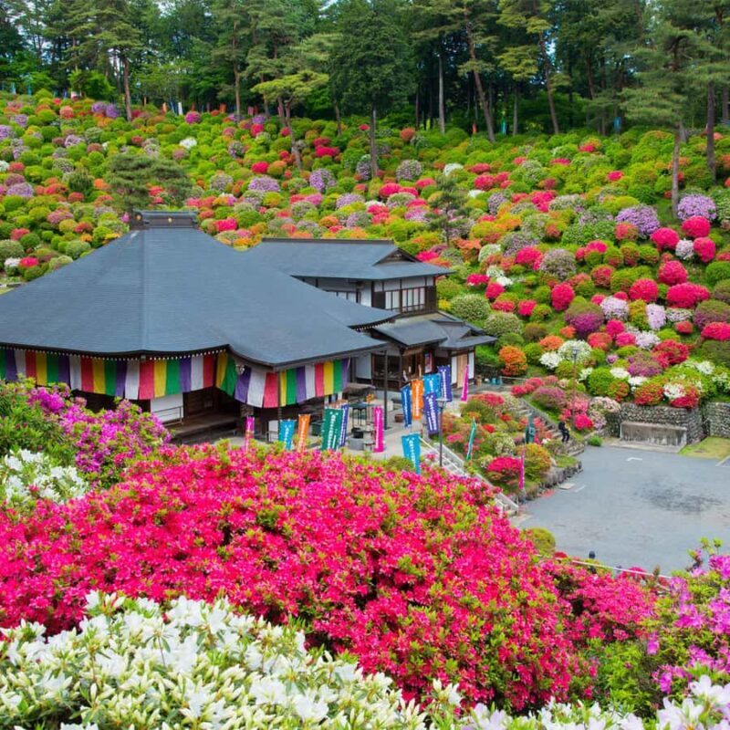 Railway & Retro Walk: me Line Nostalgia - Discovering Tokyo’s Vintage Charm