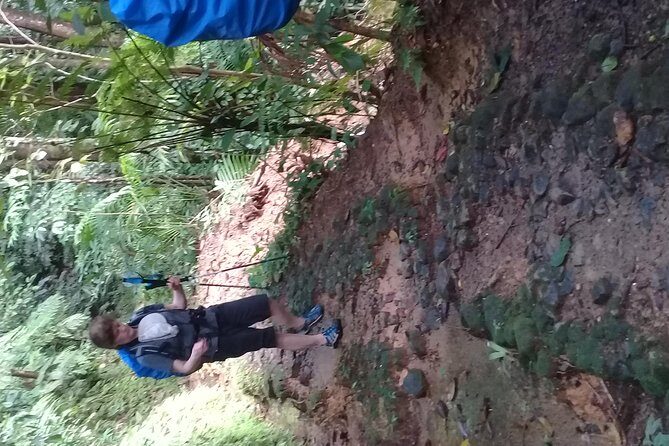 Rain forest and Bird watching - The Sum Up