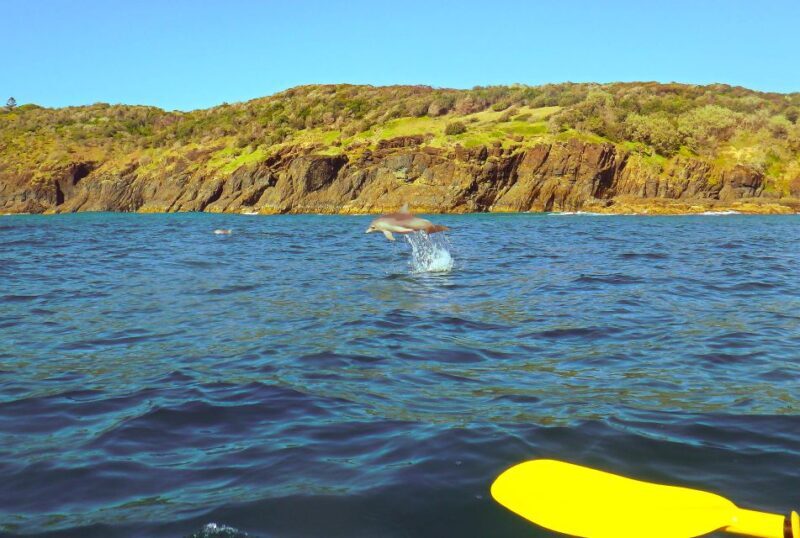 Rainbow Beach: Kayaking with Dolphins and Beach 4WD Tour - A Closer Look at the Itinerary
