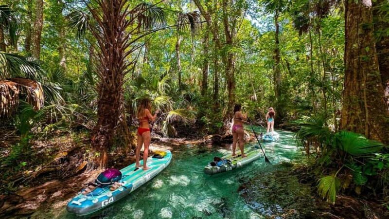 Rainbow River: Paddle Board Tour Adventure - Key Points