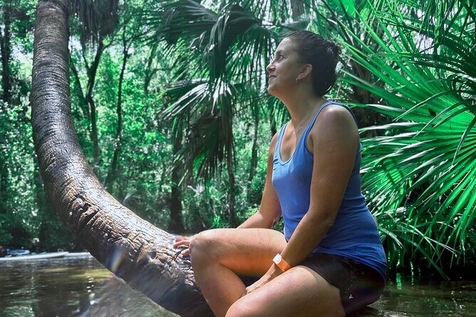 Rainbow Springs Clear Kayak and Paddleboard Guided Tours - An Overview of Rainbow Springs Guided Tours