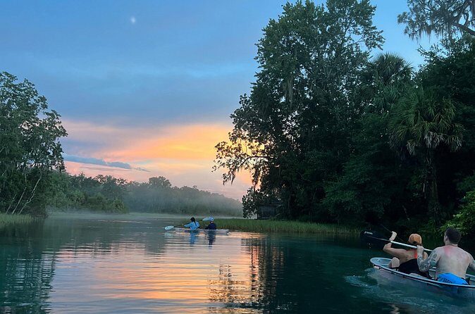 Rainbow Springs Clear Kayak and Paddleboard Rentals - Wildlife and Natural Beauty