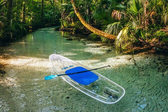 Rainbow Springs: Clear Kayak & Snorkel Eco Tour - What’s Included and What’s Not?