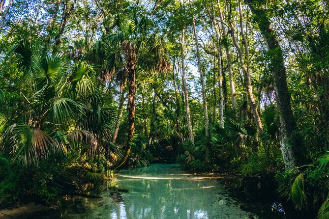Rainbow Springs: Clear Kayak & Snorkel Eco Tour - Practical Tips for a Smooth Trip