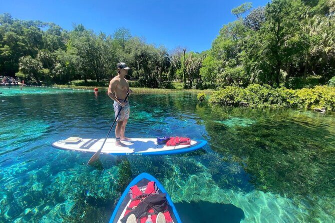 Rainbow Springs Electric Paddle Board Rentals - The Itinerary: From Launch to Rainbow Springs