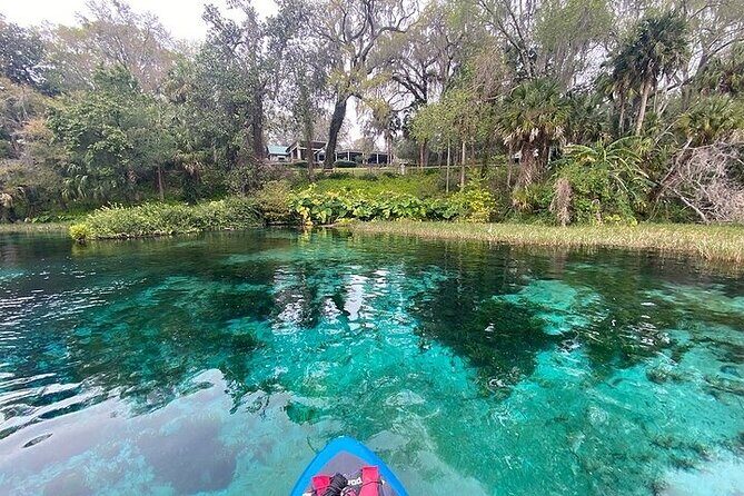 Rainbow Springs Electric Paddle Board Rentals - Who Will Love This Experience?