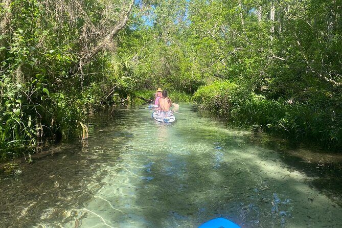 Rainbow Springs Electric Paddle Tour - Introduction