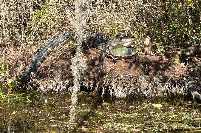 Rainbow Springs Guided Kayak/ Swim/ Snorkel Adventure - Final Thoughts